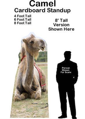 Llama Cardboard Cutout Standup Prop - Dino Rentos Studios, INC.